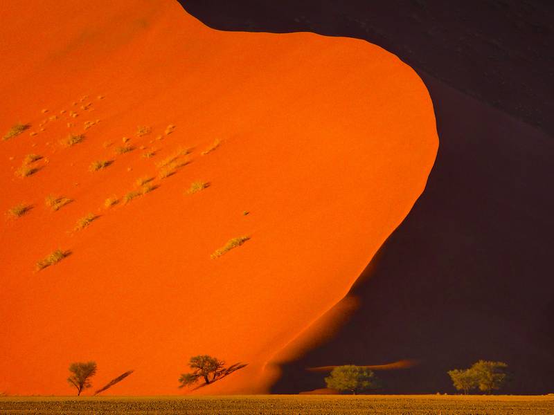 Roter Wüstensand der Namib